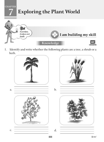 G1_WB_EVS_CH-7_Exploring the Plant World