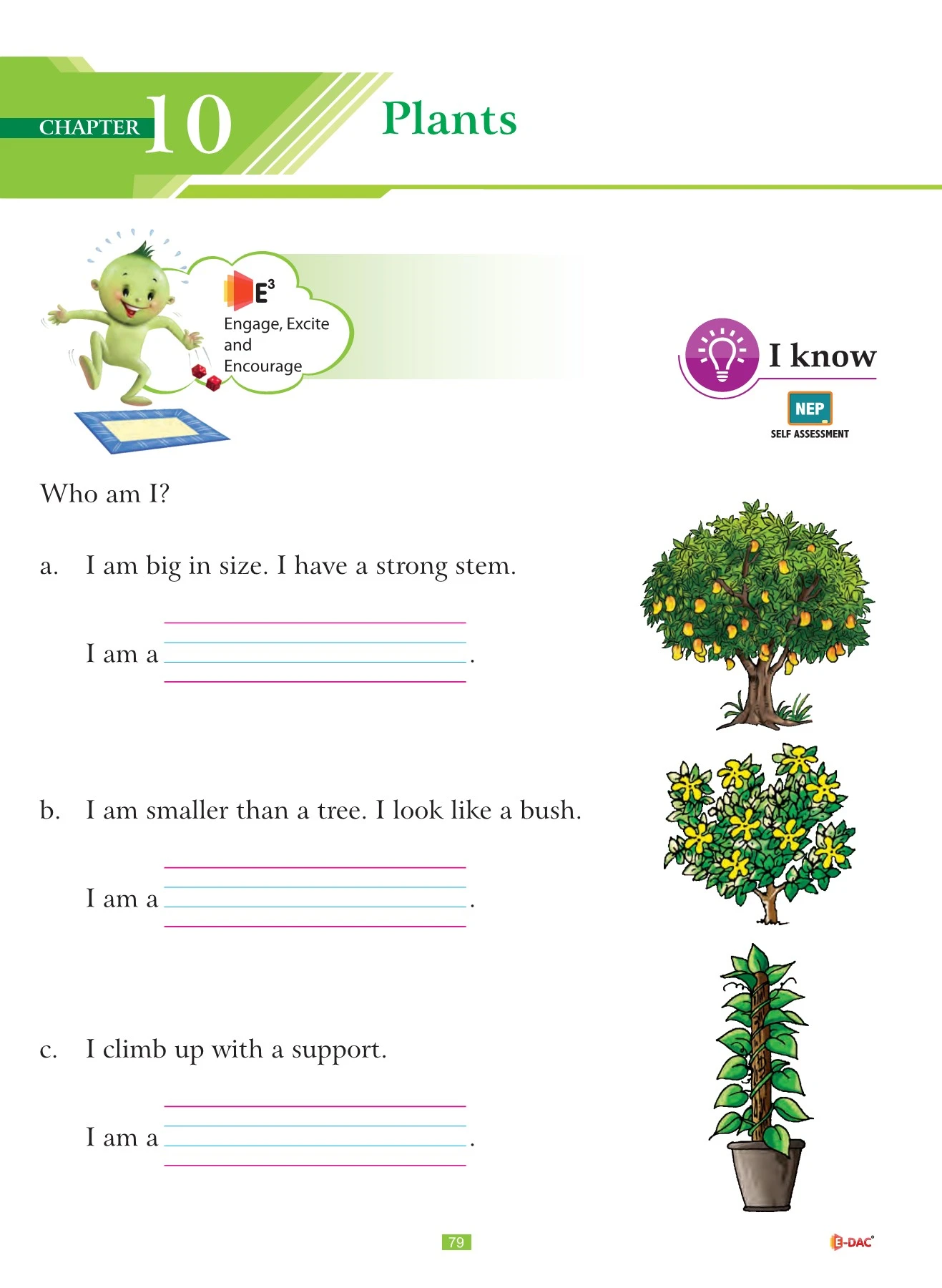 G2_CB_EVS_CH-10_Plants - Kanchan Singh - Page 1 - 9 | Flip PDF Online ...