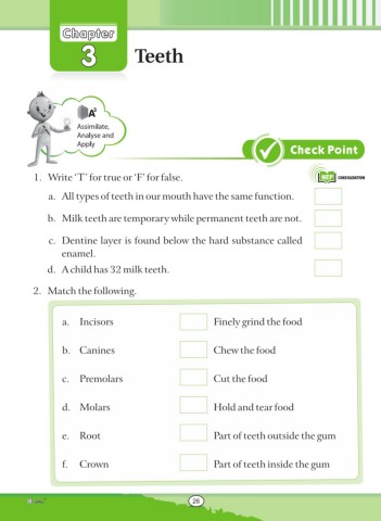 G3_WB_Science_Ch 3_Teeth