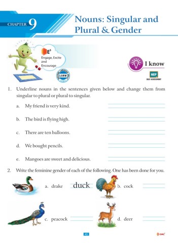 9.G3_CB_Eng_Lang_Ch_9 Nouns Singular and Plural Gender