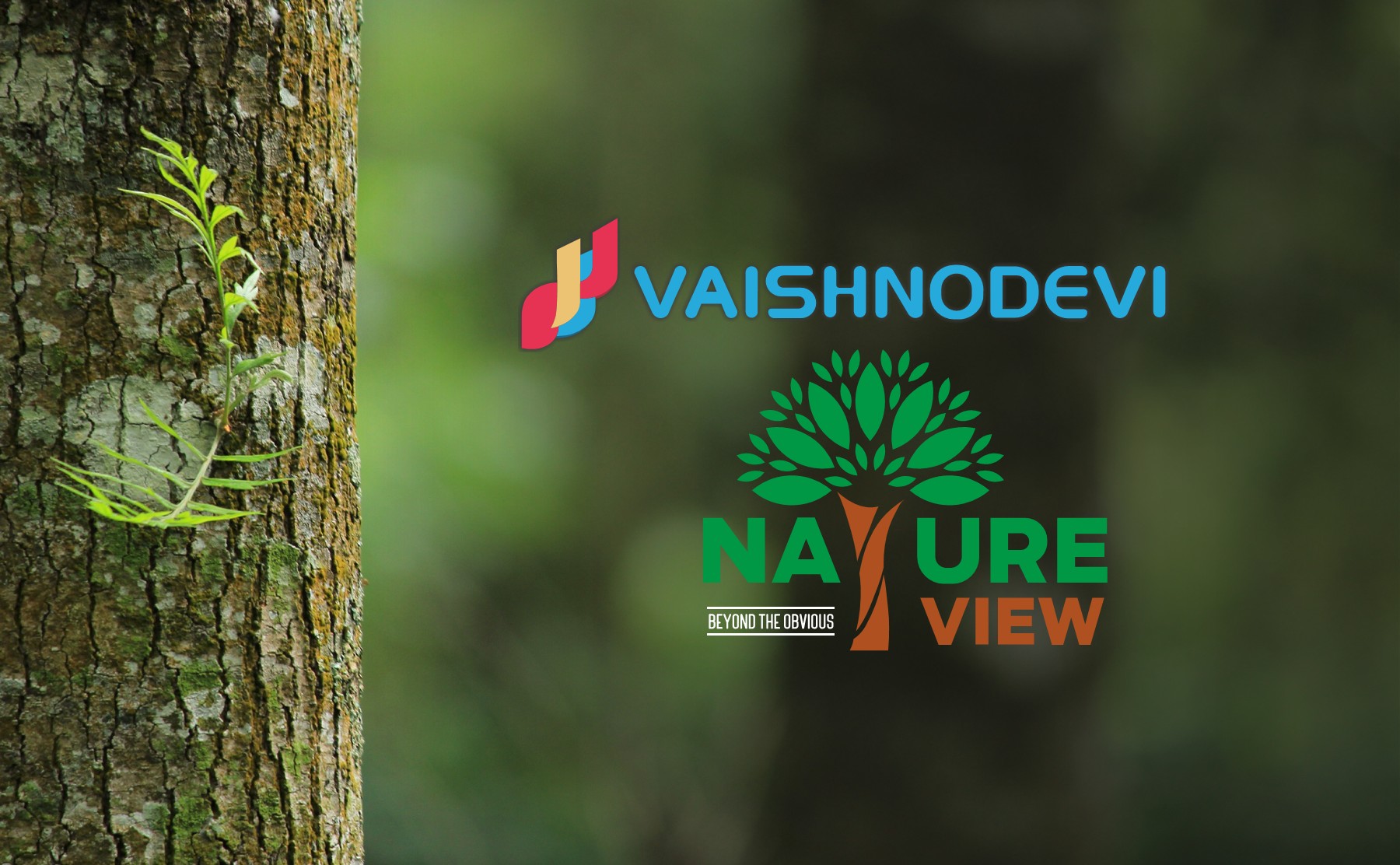 NatureView Golden Ratio Brochure - Simply Wish(SWISH) - Page 1 | Flip PDF Online | PubHTML5