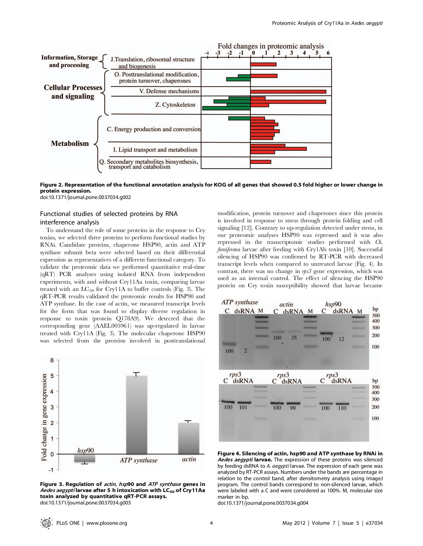 Paper protein - faasant - Page 4 | Flip PDF Online | PubHTML5