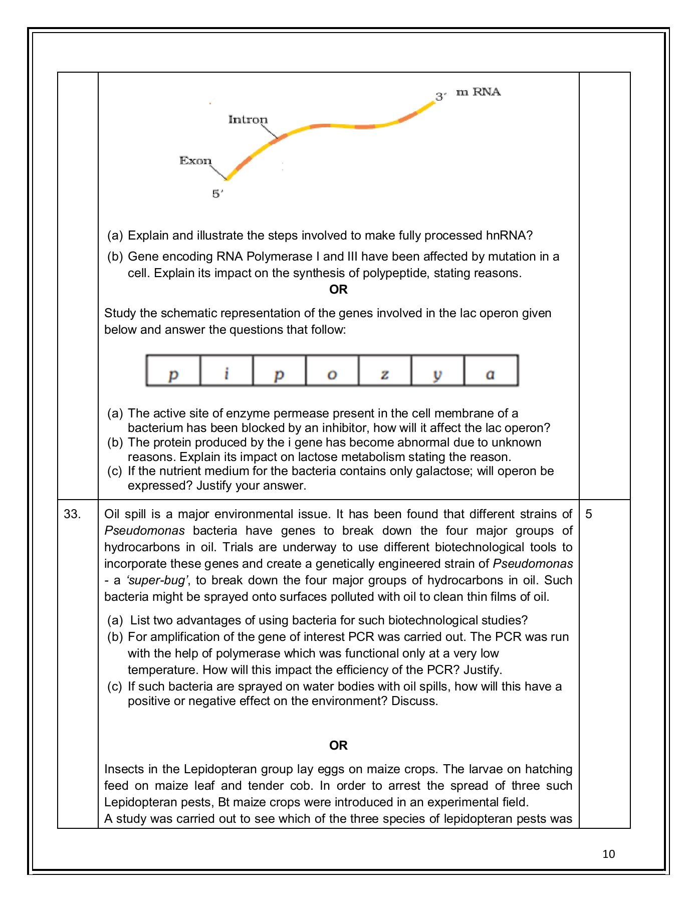 NBSE Biology Class 12 Sample Papers - Full Marks Pvt Ltd - Page 10 ...