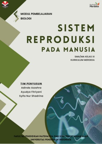 Modul Pembelajaran Biologi Kelas XI_Sistem Reproduksi - Syifa Nur Shadrina - Page 1 - 33 | Flip ...