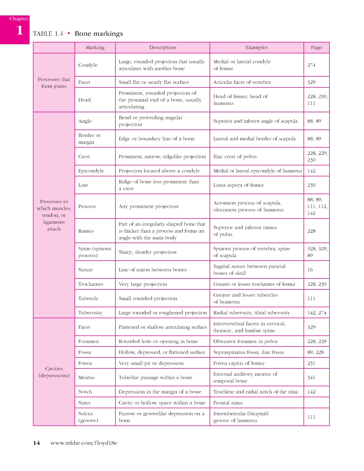 Manual of Structural Kinesiology 18th Edition - www.cheapbook.us - Page ...