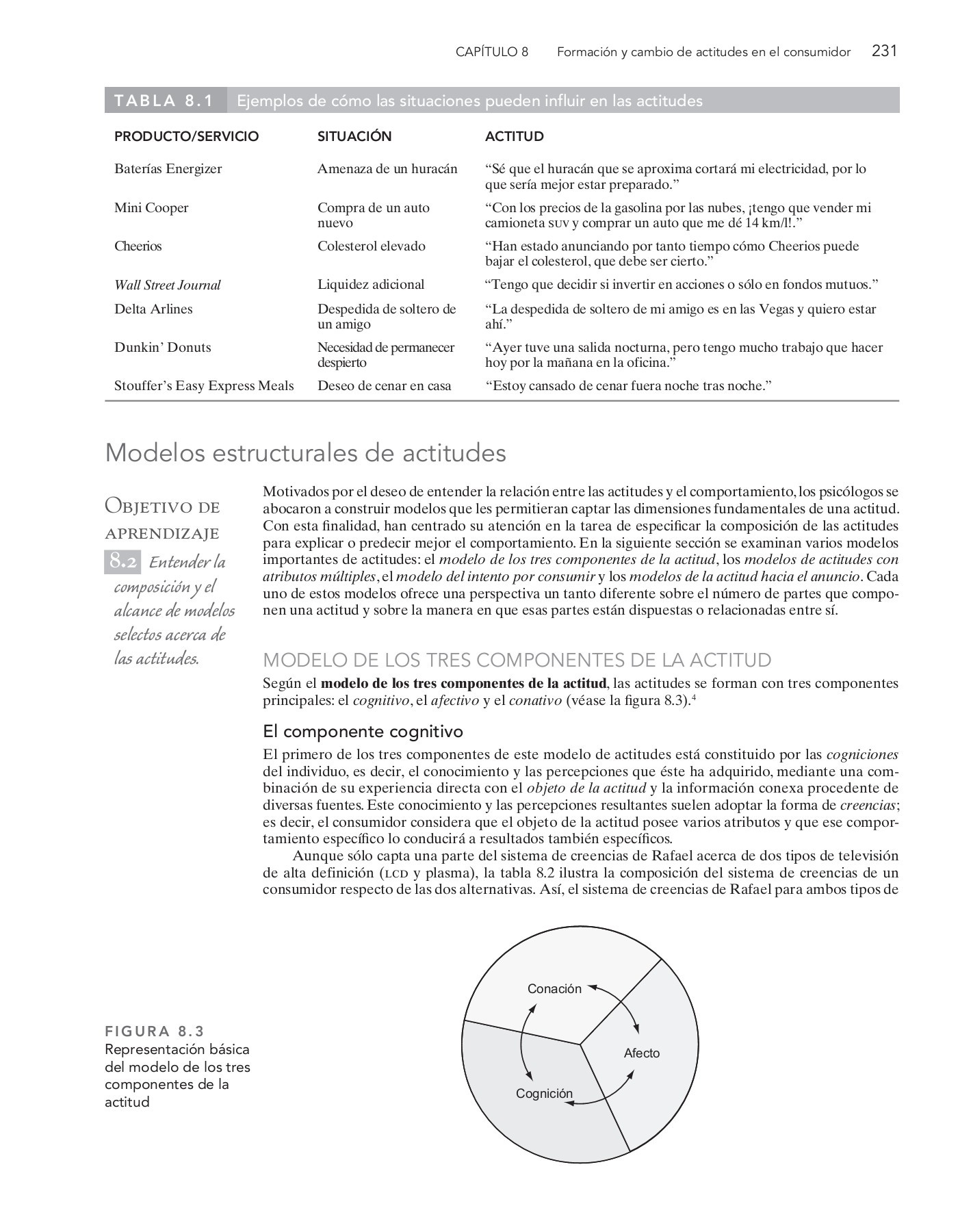 comportamientodelconsumidor-schiffman1 - zsyszleaux.s2 - Página 251 | Flip PDF en línea | PubHTML5