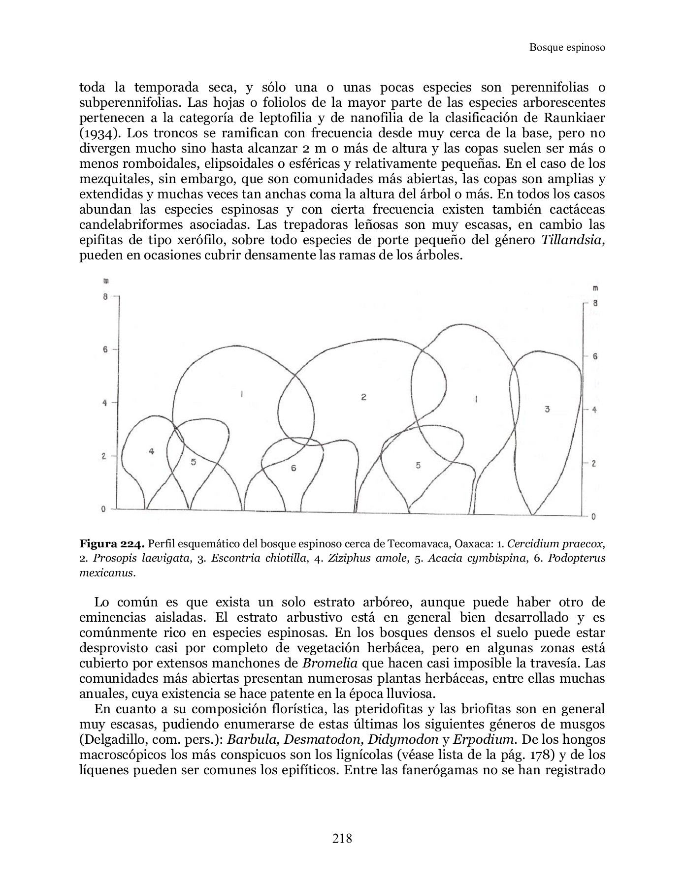 VEGETACION_DE_MEXICO_Jerzy_Rzedowski - vicky.ciencias96 - Página 223 ...