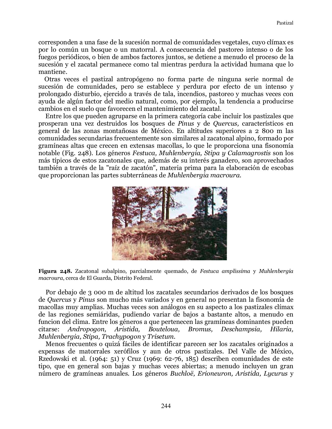 VEGETACION_DE_MEXICO_Jerzy_Rzedowski - vicky.ciencias96 - Página 249 ...