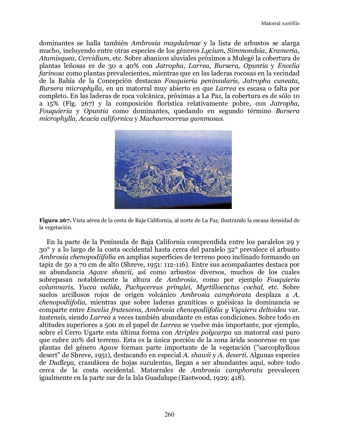 VEGETACION_DE_MEXICO_Jerzy_Rzedowski - vicky.ciencias96 - Página 265 ...