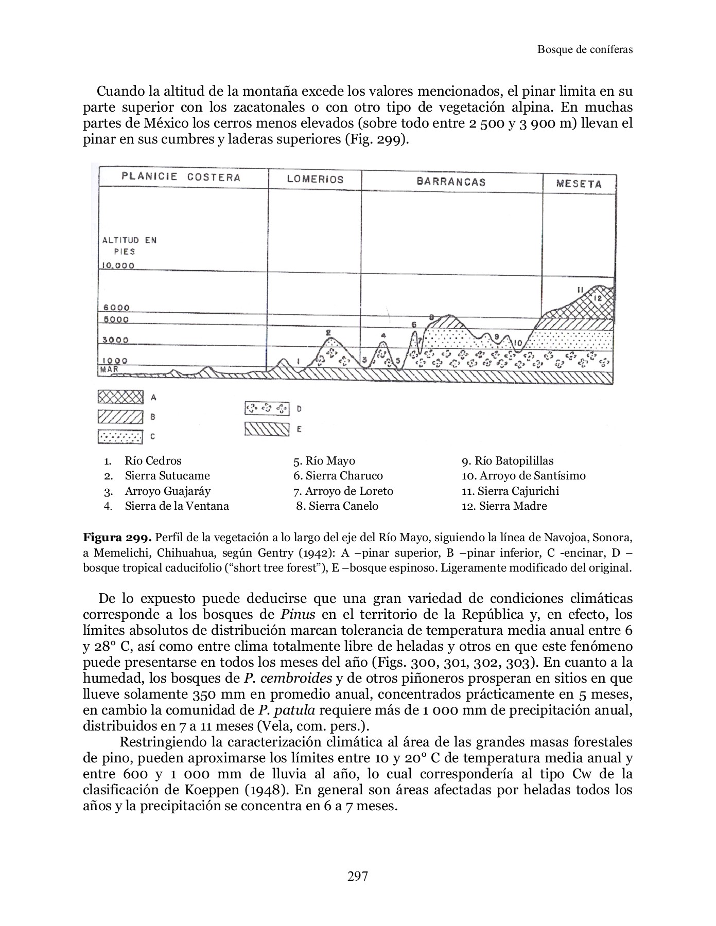 VEGETACION_DE_MEXICO_Jerzy_Rzedowski - vicky.ciencias96 - Página 304 ...