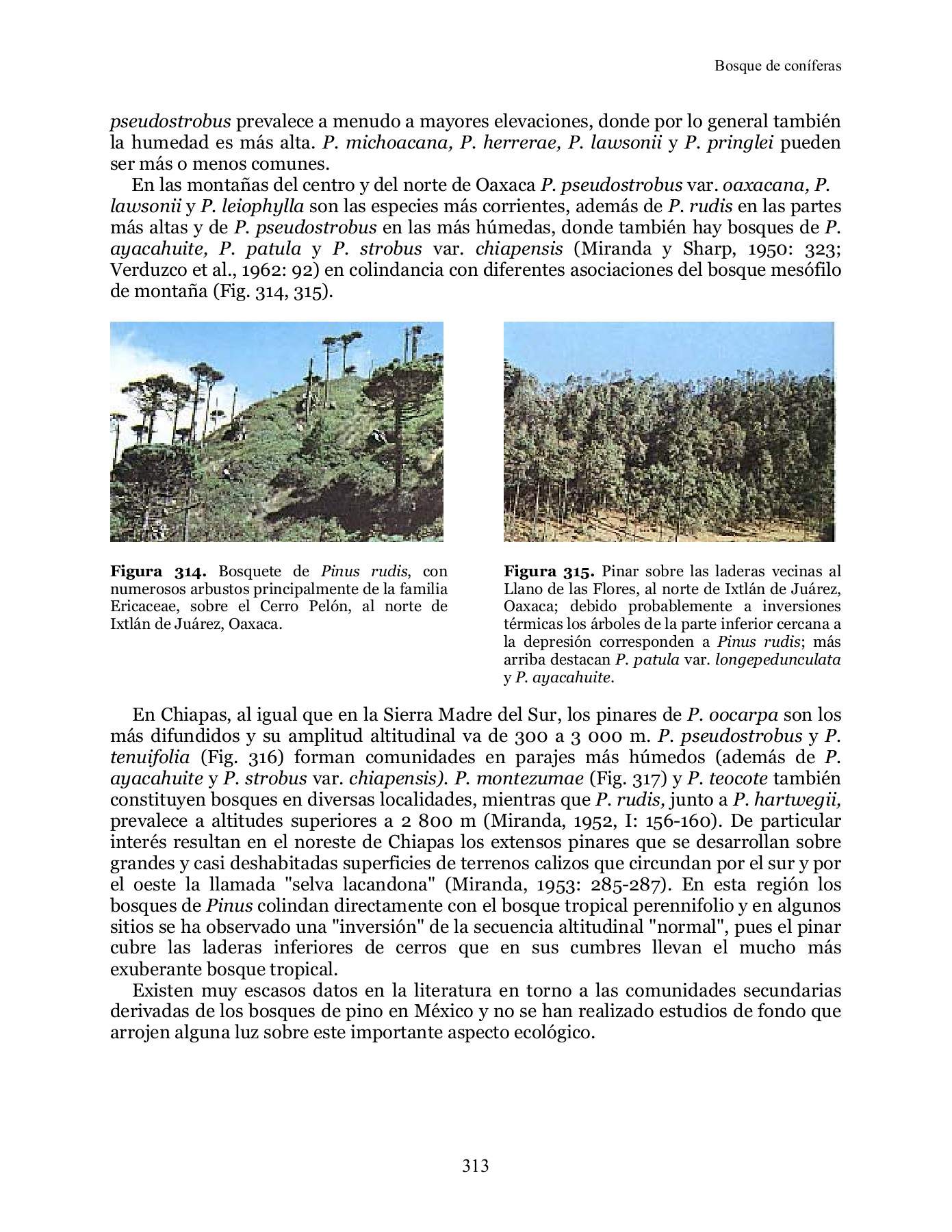 VEGETACION_DE_MEXICO_Jerzy_Rzedowski - vicky.ciencias96 - Página 320 ...