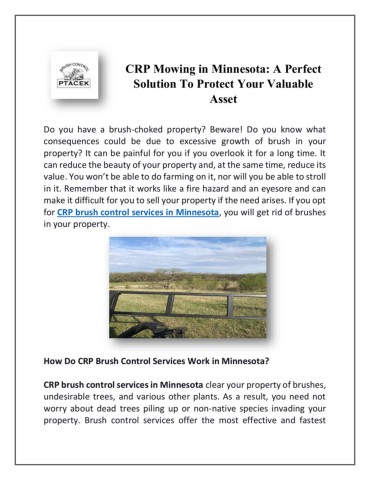 Ptacek Brush Control Provide Best CRP Mowing Services In Minnesota