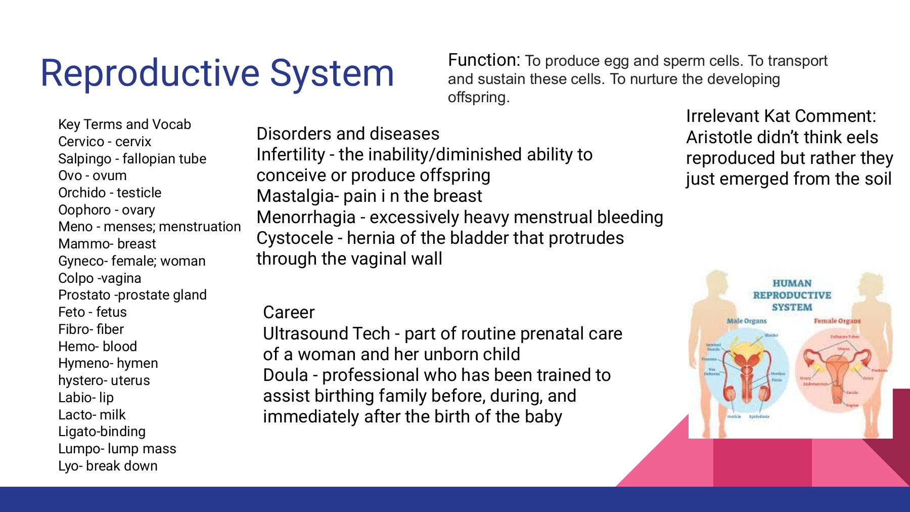 Body Systems FlipBook - Kathy Mungai - Page 10 | Flip PDF Online | PubHTML5
