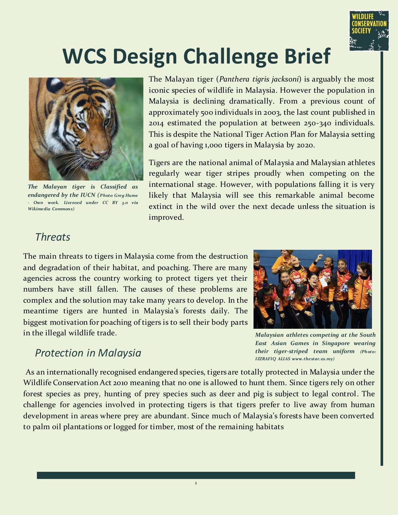 WCS Design Challenge Brief - jhunter20 - Page 1 - 2 | Flip PDF Online ...