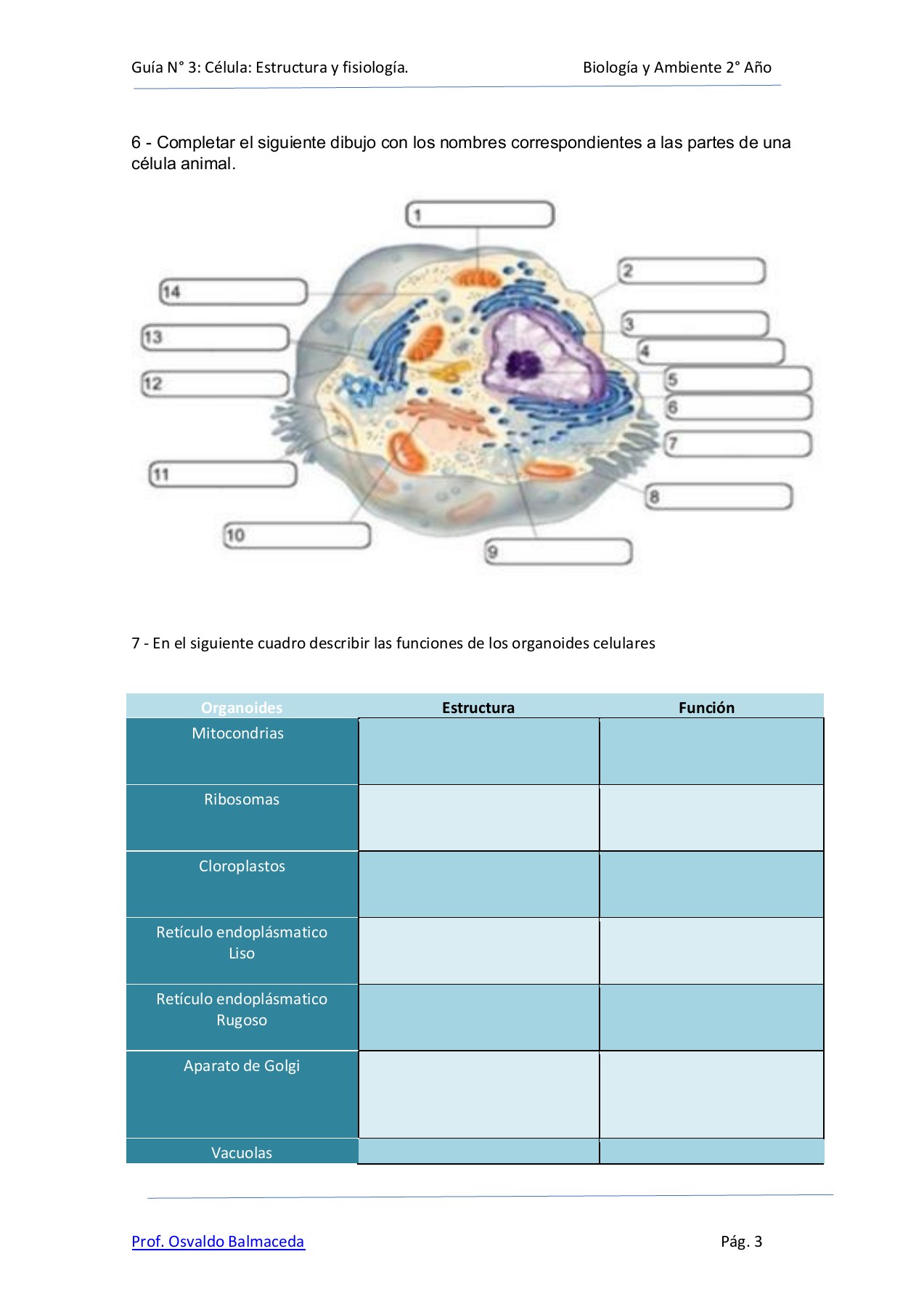 Guia N° 3 Celula - Luciano Guerra - Página 3 | Flip PDF en línea | PubHTML5