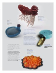 AyJ_El muro de los mensajes - mack,chen - Página 117 | Flip PDF en ...