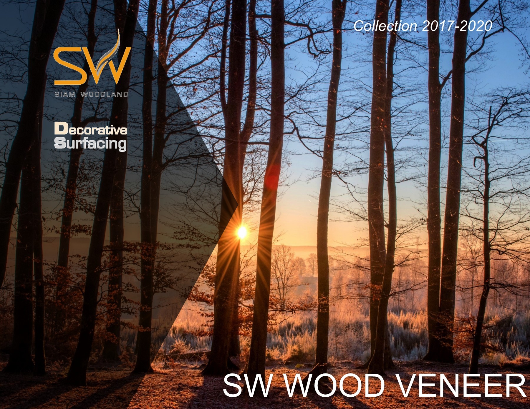 SW Wood Veneer E-Catalog 2017-2020 - SW Siam Woodland - Page 1 - 8 ...