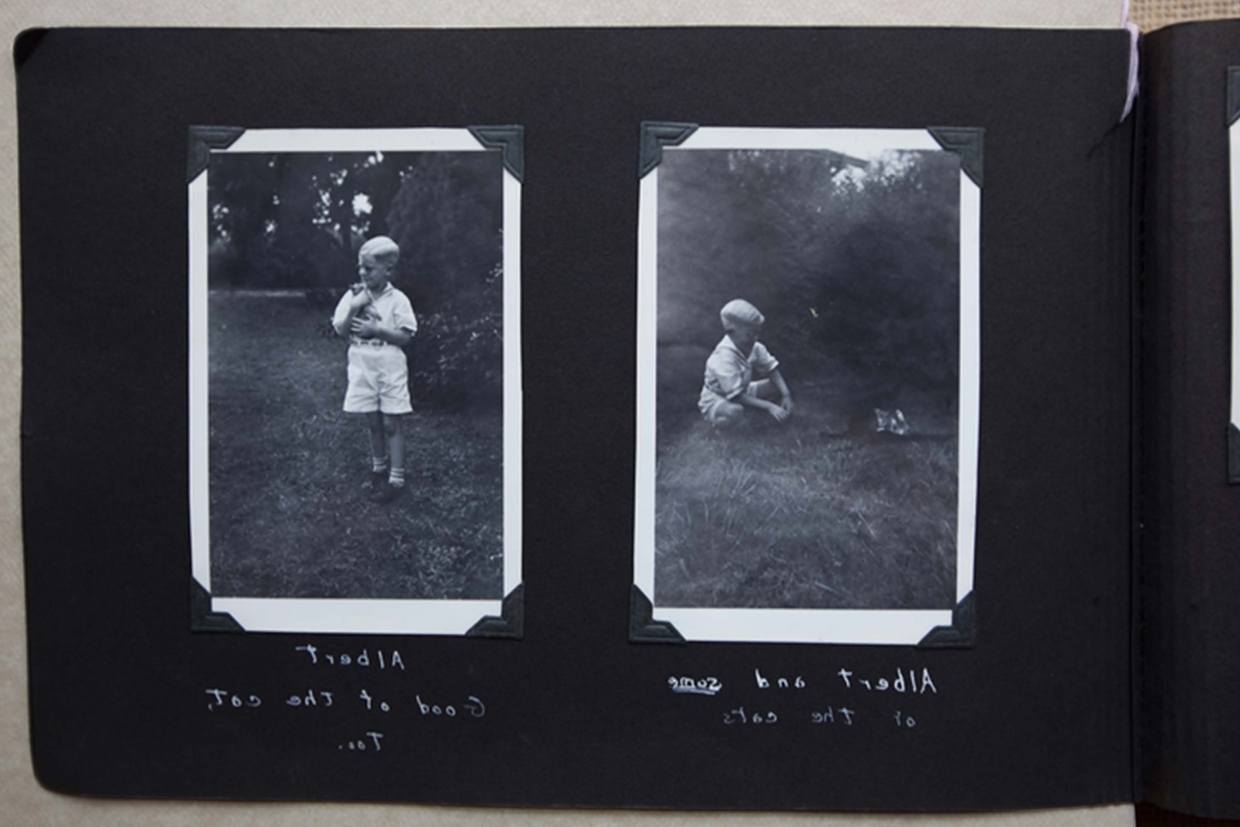 smith-family-book - rylan - Page 30 | Flip PDF Online | PubHTML5