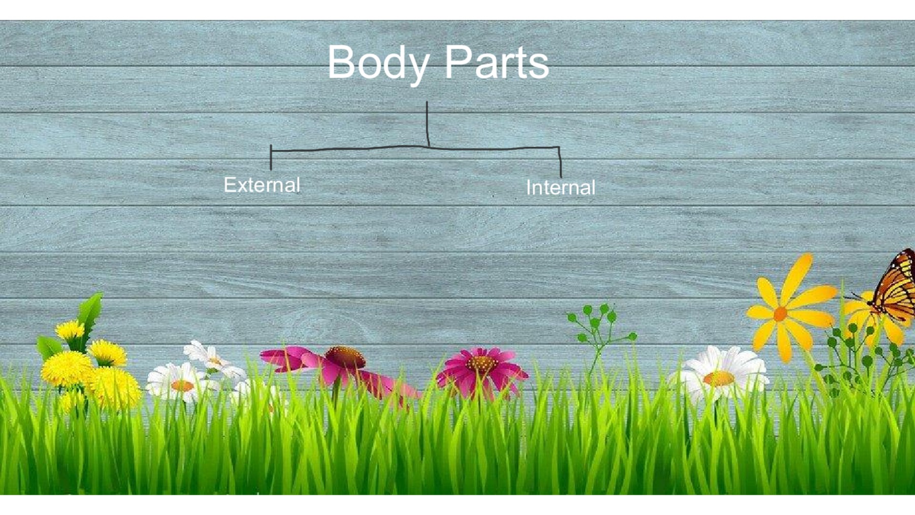 Body Parts EI - Parth Dixit - Page 1 - 6 | Flip PDF Online | PubHTML5