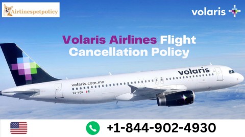 Volaris Airlines Flight Cancellation Policy - airlinespetpolicyofficial - Page 1 - 6 | Flip PDF ...