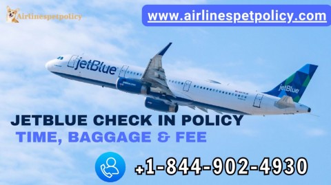 JetBlue Check In Policy Time, Baggage & Fee