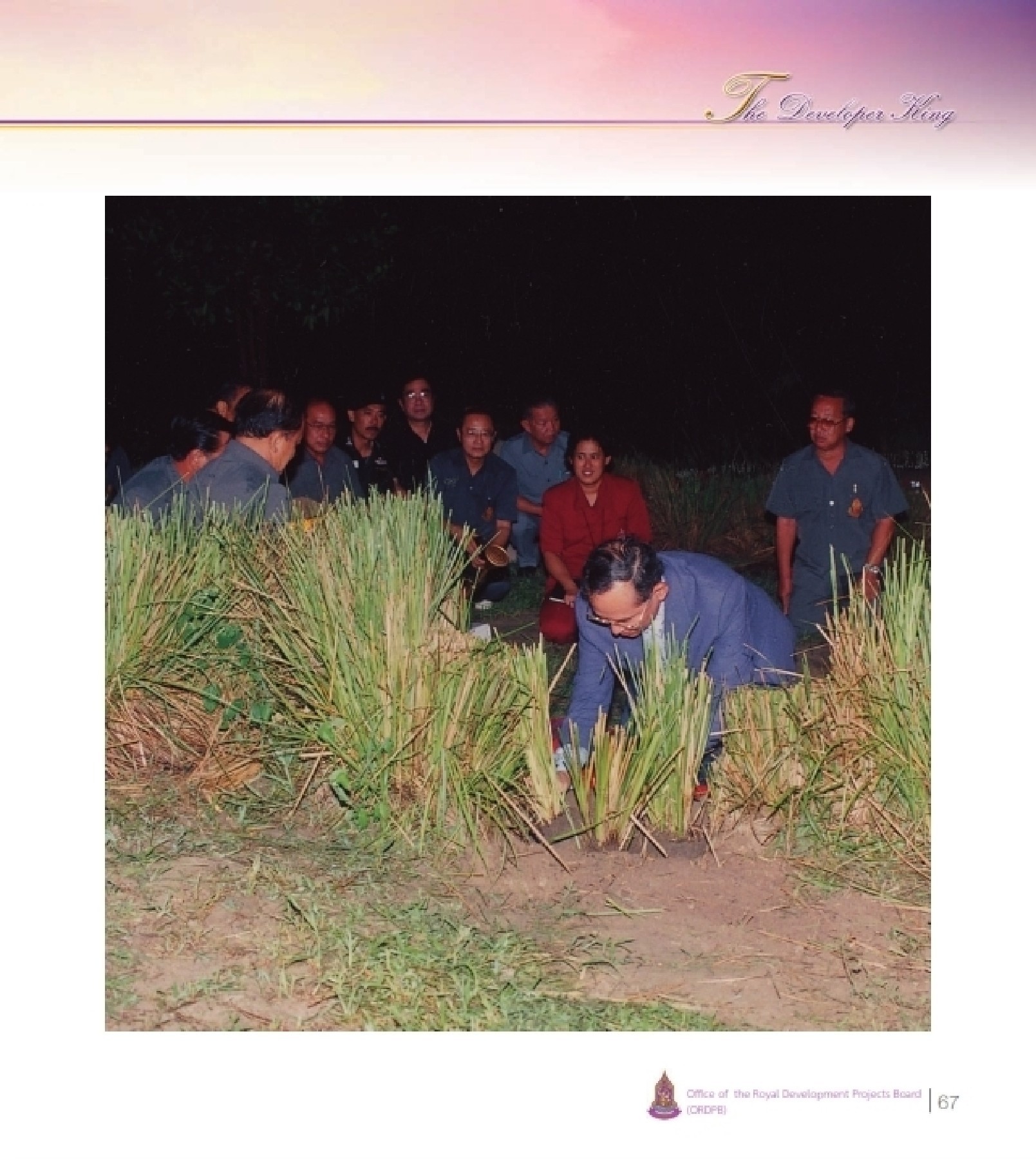 king the Developer king - E-book Library กศน.ตำบลนาเกลือ - Page 67 | Flip PDF Online | PubHTML5