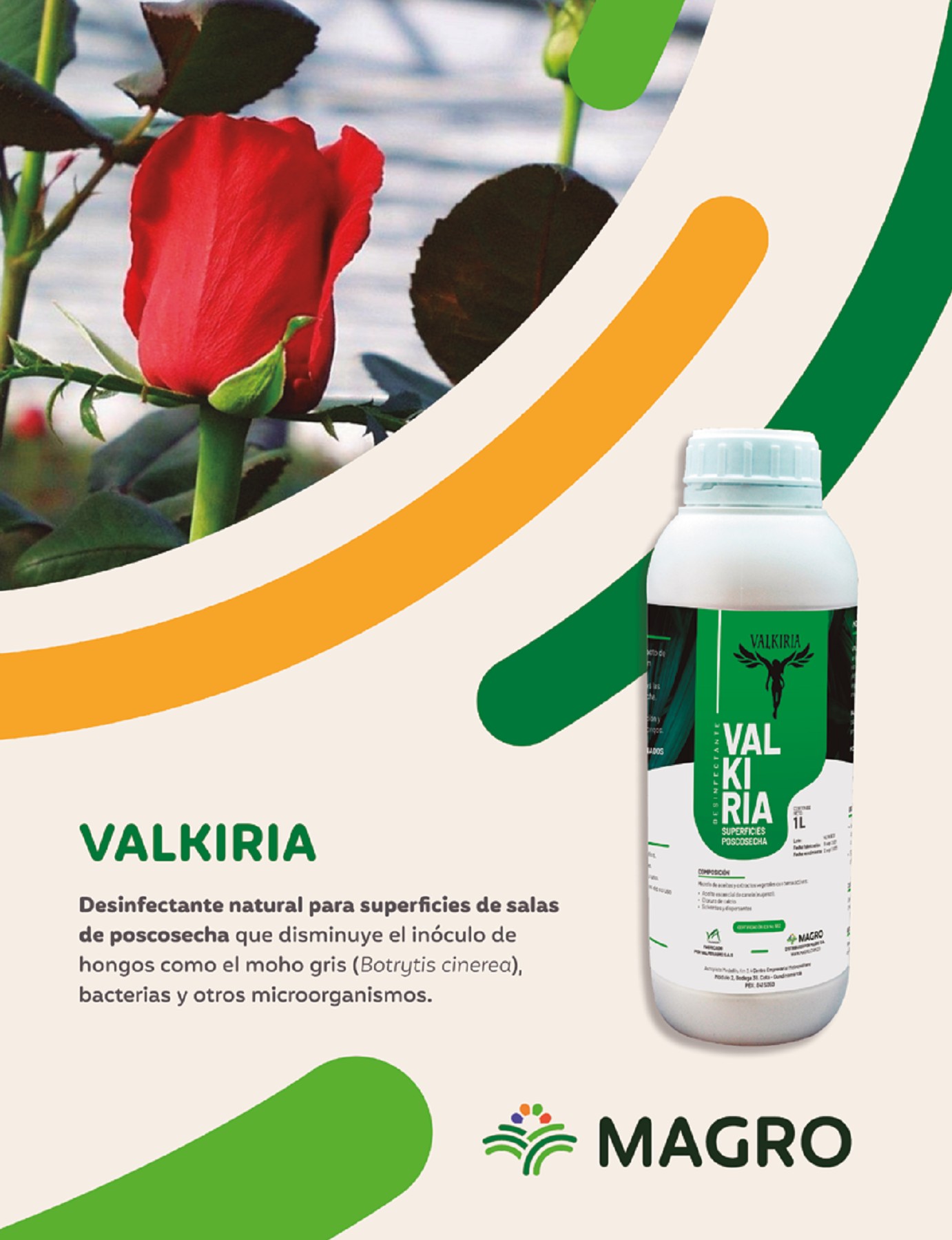 MetroFlor_107 WEB - Valentina Lopez Serrato - Página 43 | Flip PDF en ...