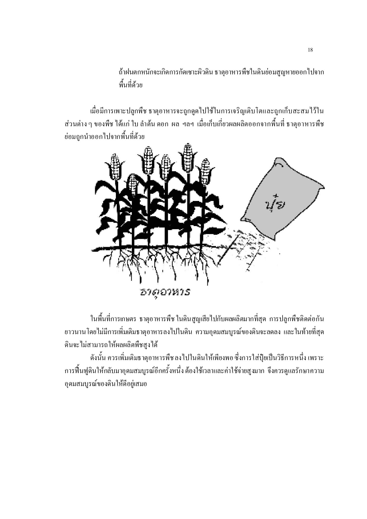 book ช่องทางการเข้าสู่อาชีพ11001 - cinjangcuci - หน้าหนังสือ 25 | พลิก ...