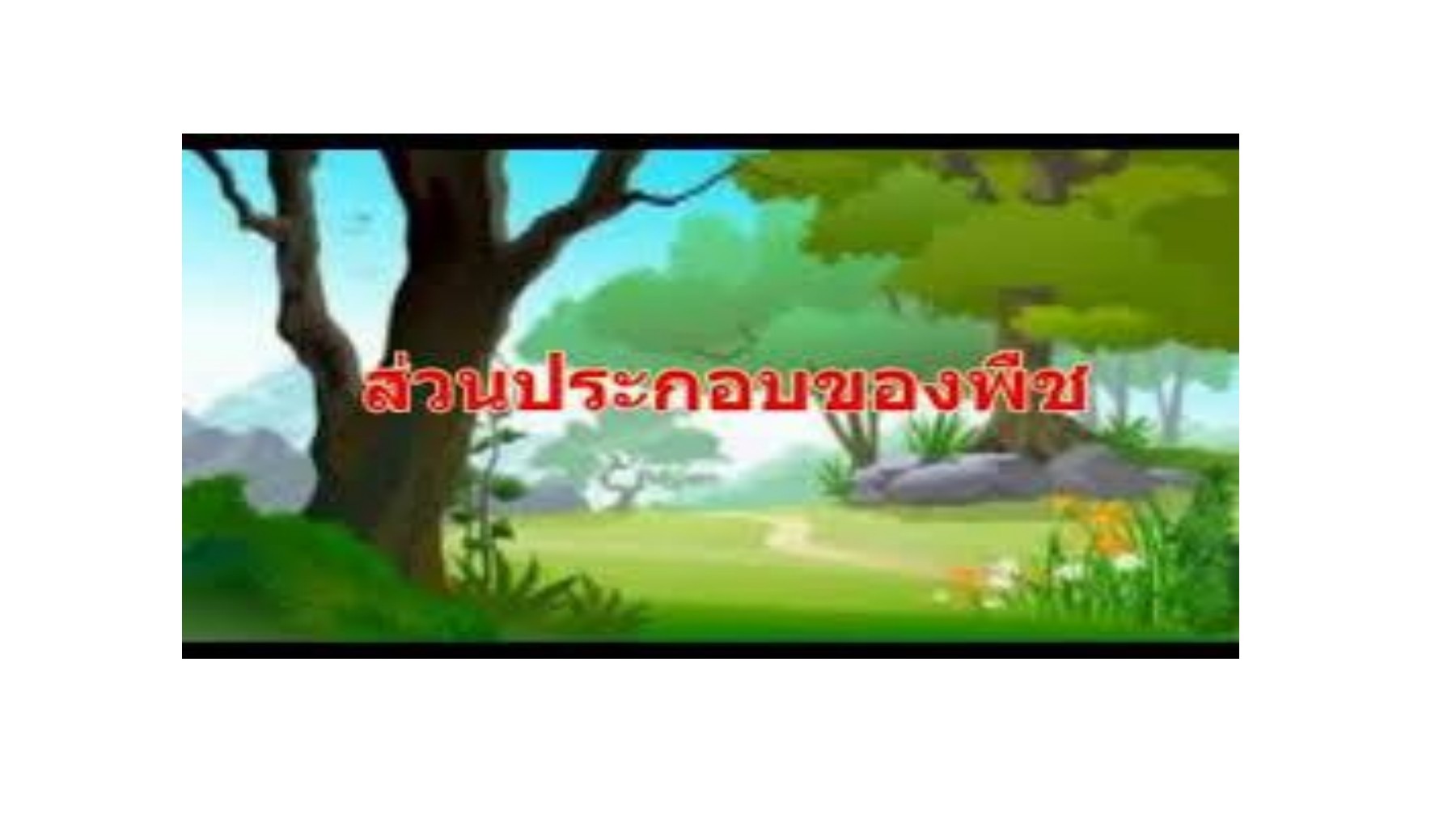 Presentation1 - Jittima.Nam - Page 1 - 10 | Flip PDF Online | PubHTML5