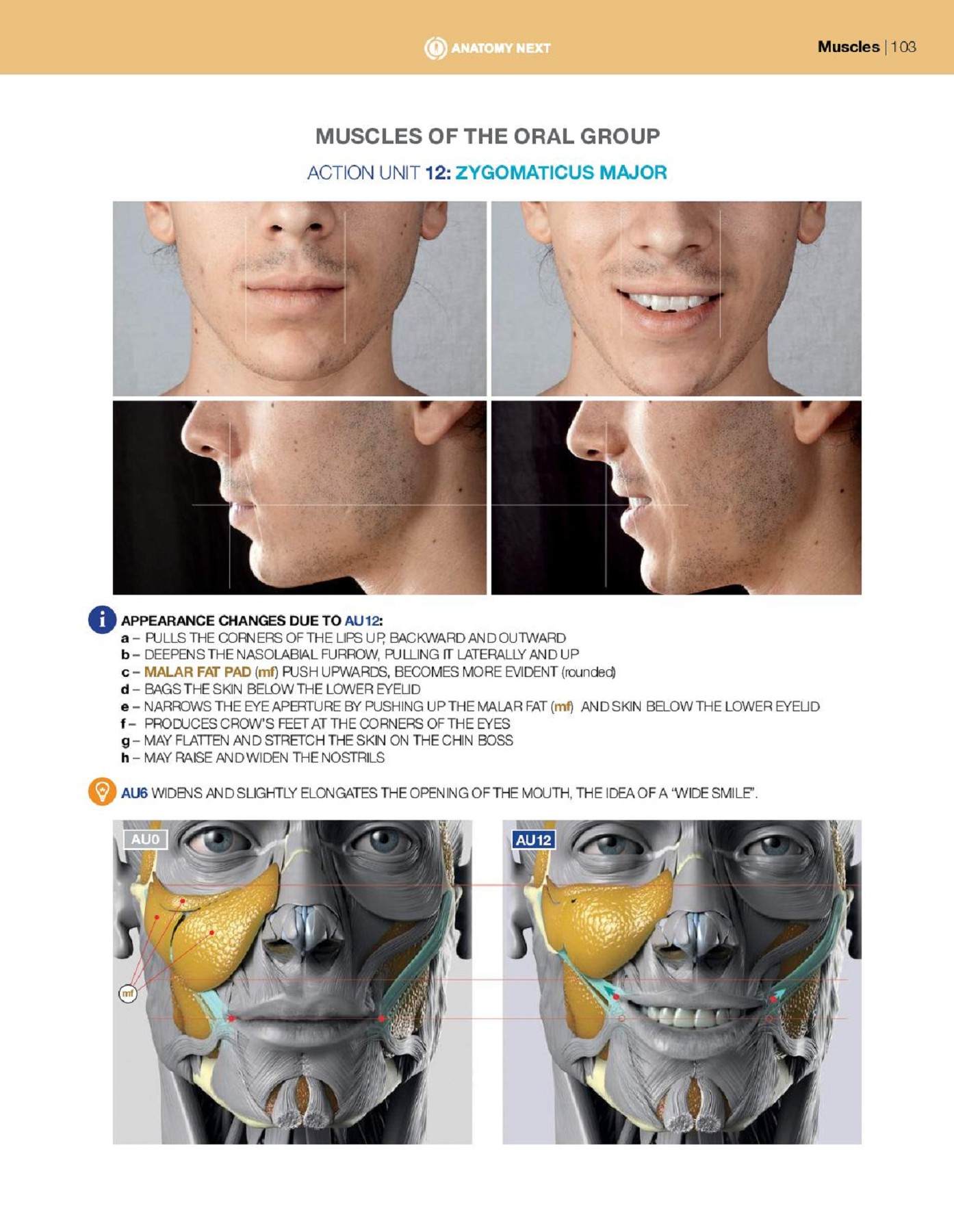 ANATOMY_OF_FACIAL_EXPRESSION.pdf - fettahh.er - Page 105 | Flip PDF ...