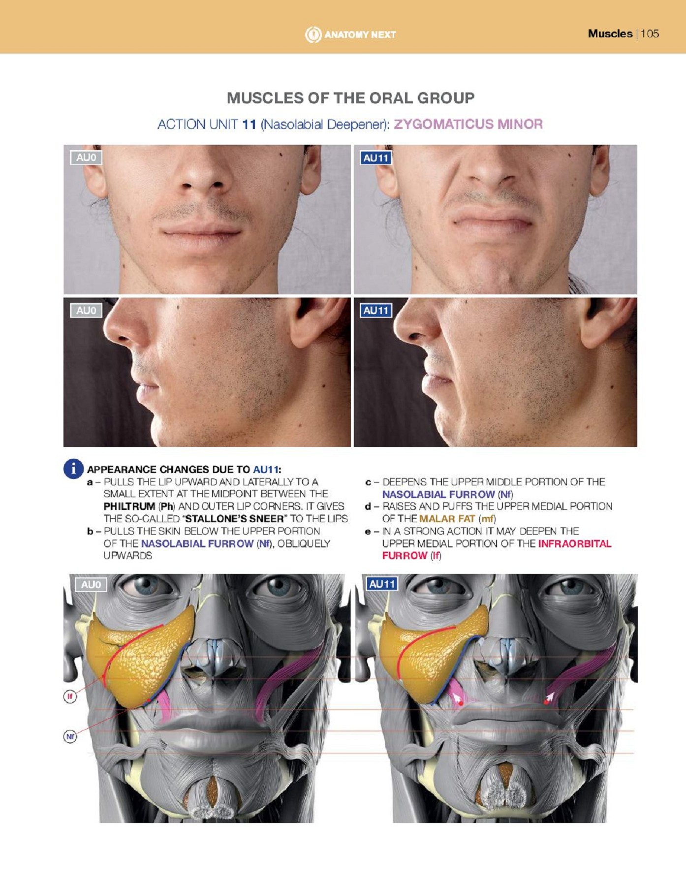ANATOMY_OF_FACIAL_EXPRESSION.pdf - fettahh.er - Page 107 | Flip PDF ...
