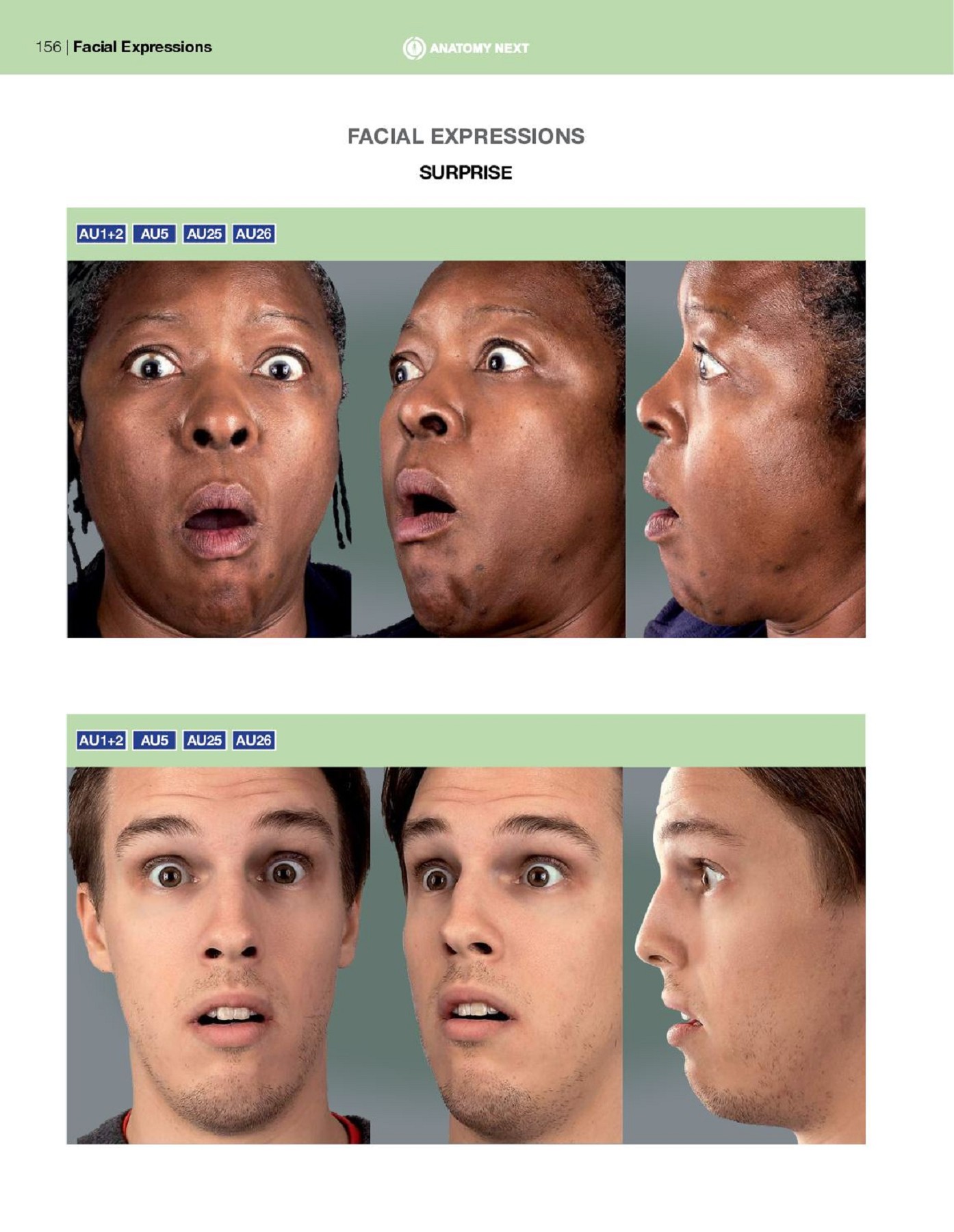 ANATOMY_OF_FACIAL_EXPRESSION.pdf - fettahh.er - Page 158 | Flip PDF ...