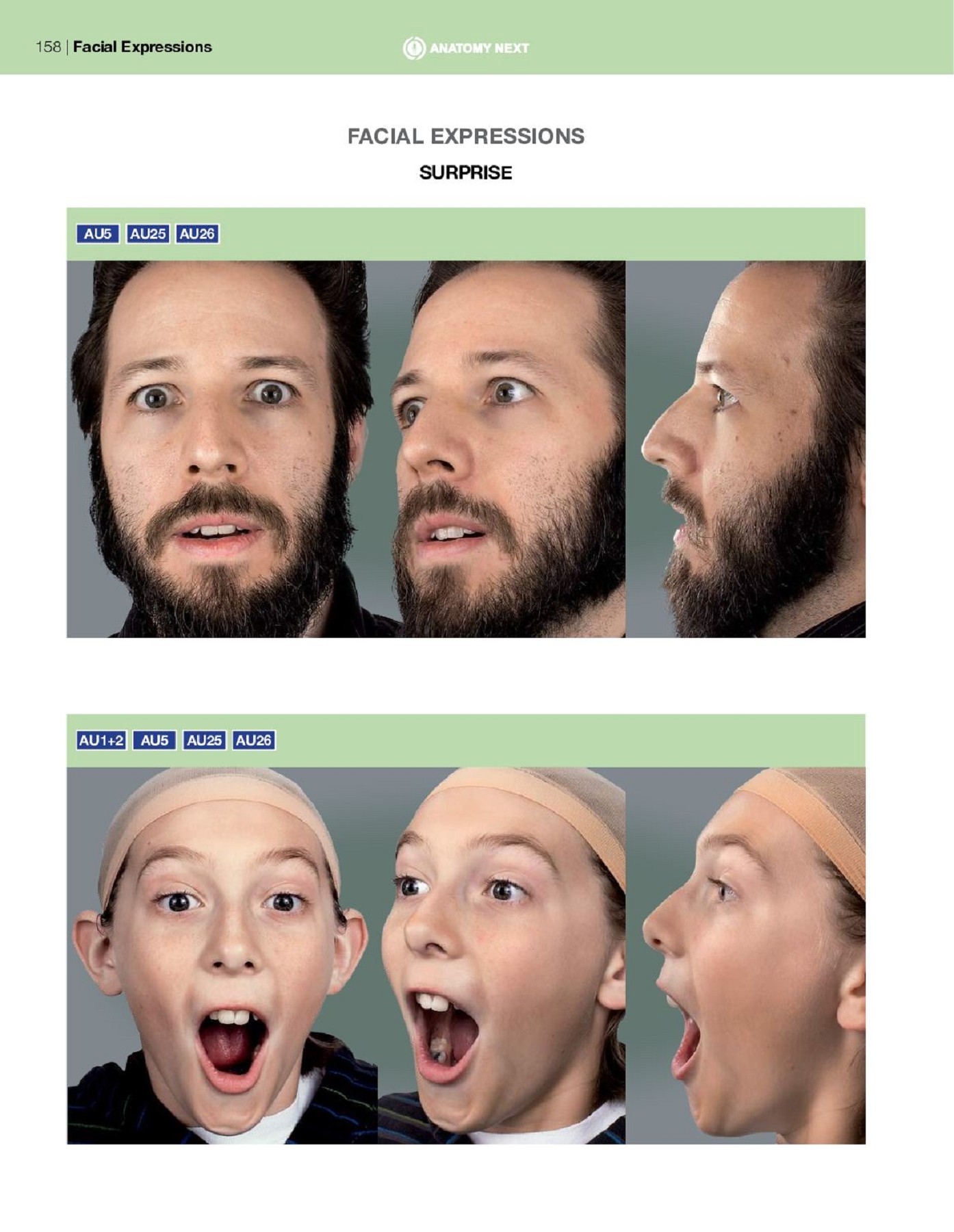 ANATOMY_OF_FACIAL_EXPRESSION.pdf - fettahh.er - Page 160 | Flip PDF ...