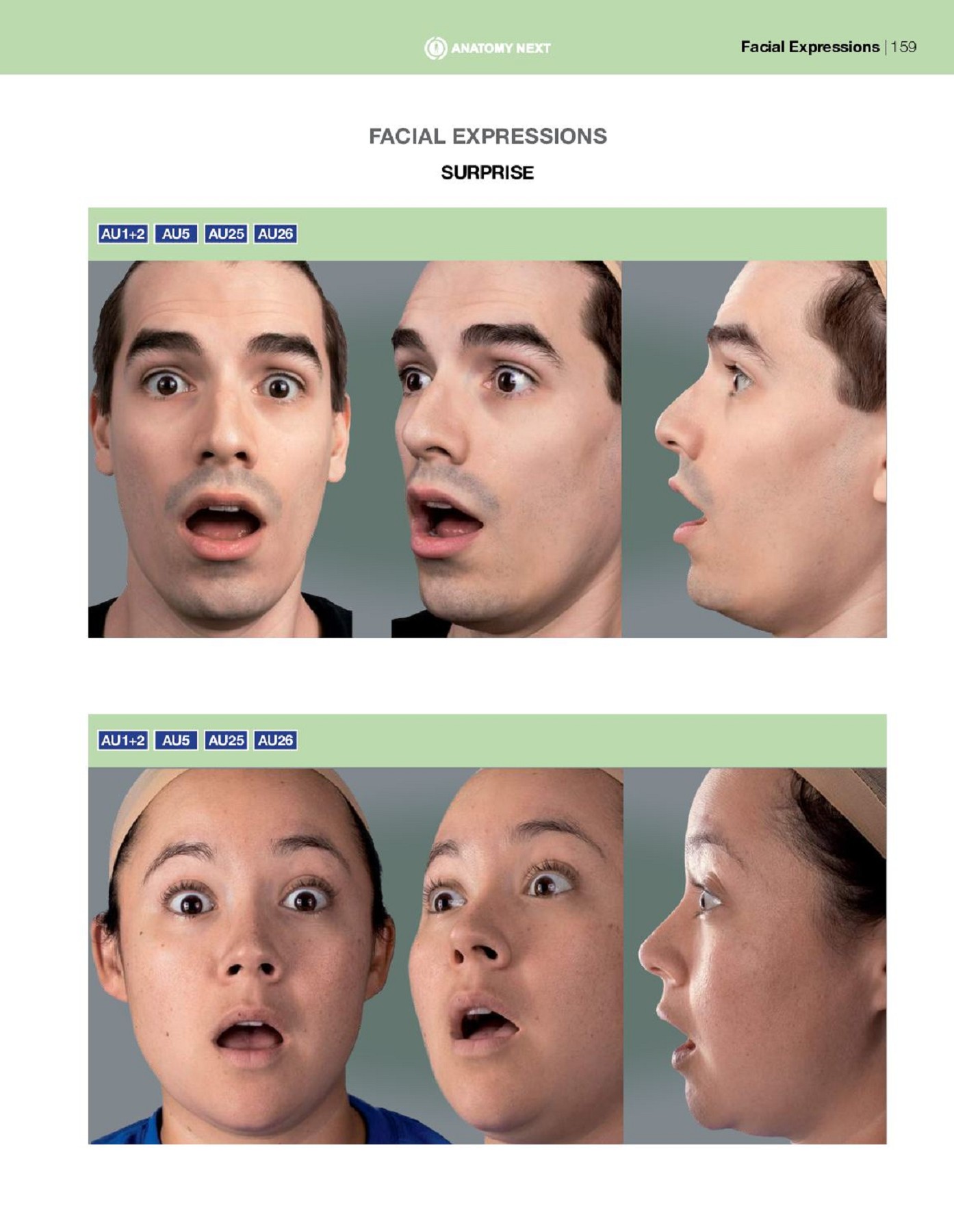 ANATOMY_OF_FACIAL_EXPRESSION.pdf - fettahh.er - Page 161 | Flip PDF ...