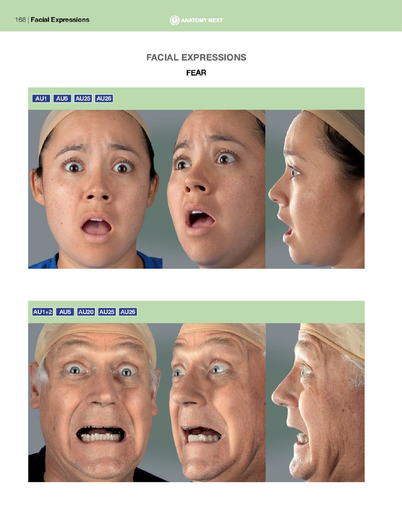 ANATOMY_OF_FACIAL_EXPRESSION.pdf - fettahh.er - Page 170 | Flip PDF ...