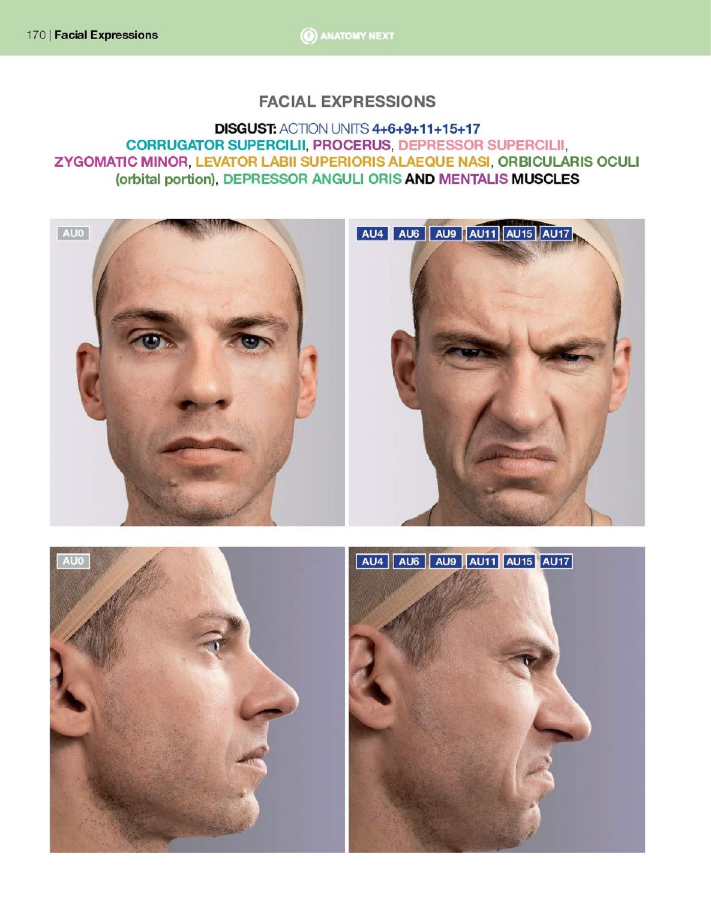 ANATOMY_OF_FACIAL_EXPRESSION.pdf - fettahh.er - Page 172 | Flip PDF ...