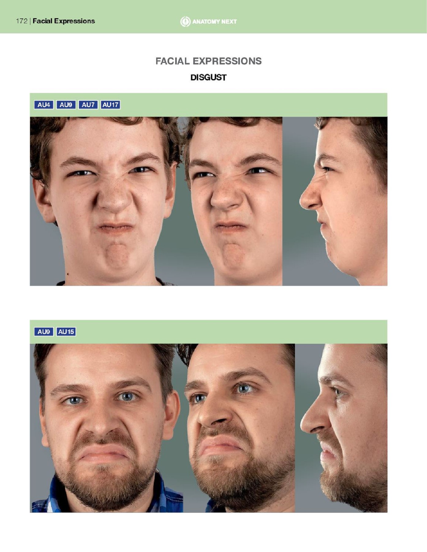 ANATOMY_OF_FACIAL_EXPRESSION.pdf - fettahh.er - Page 174 | Flip PDF ...