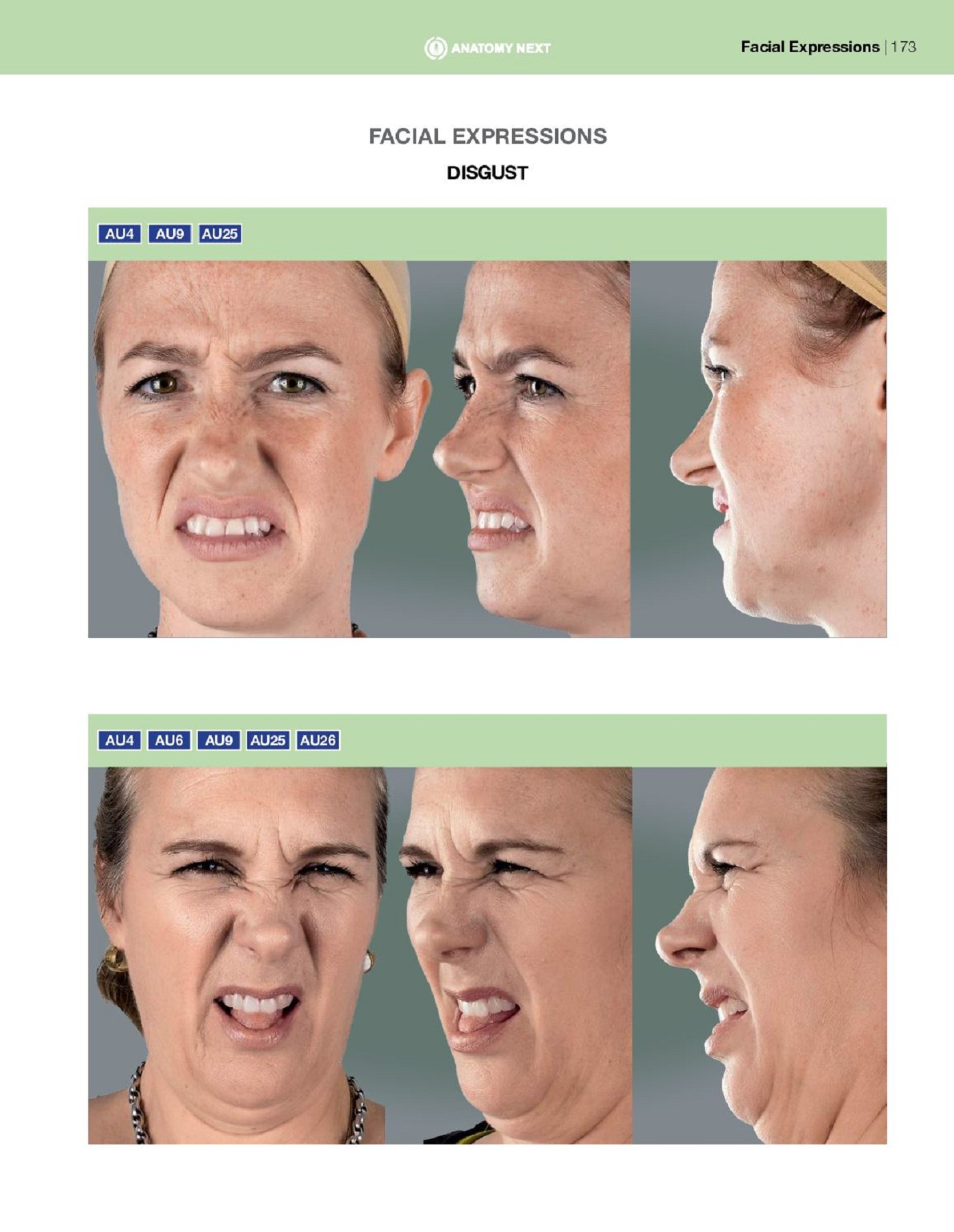 ANATOMY_OF_FACIAL_EXPRESSION.pdf - fettahh.er - Page 175 | Flip PDF ...