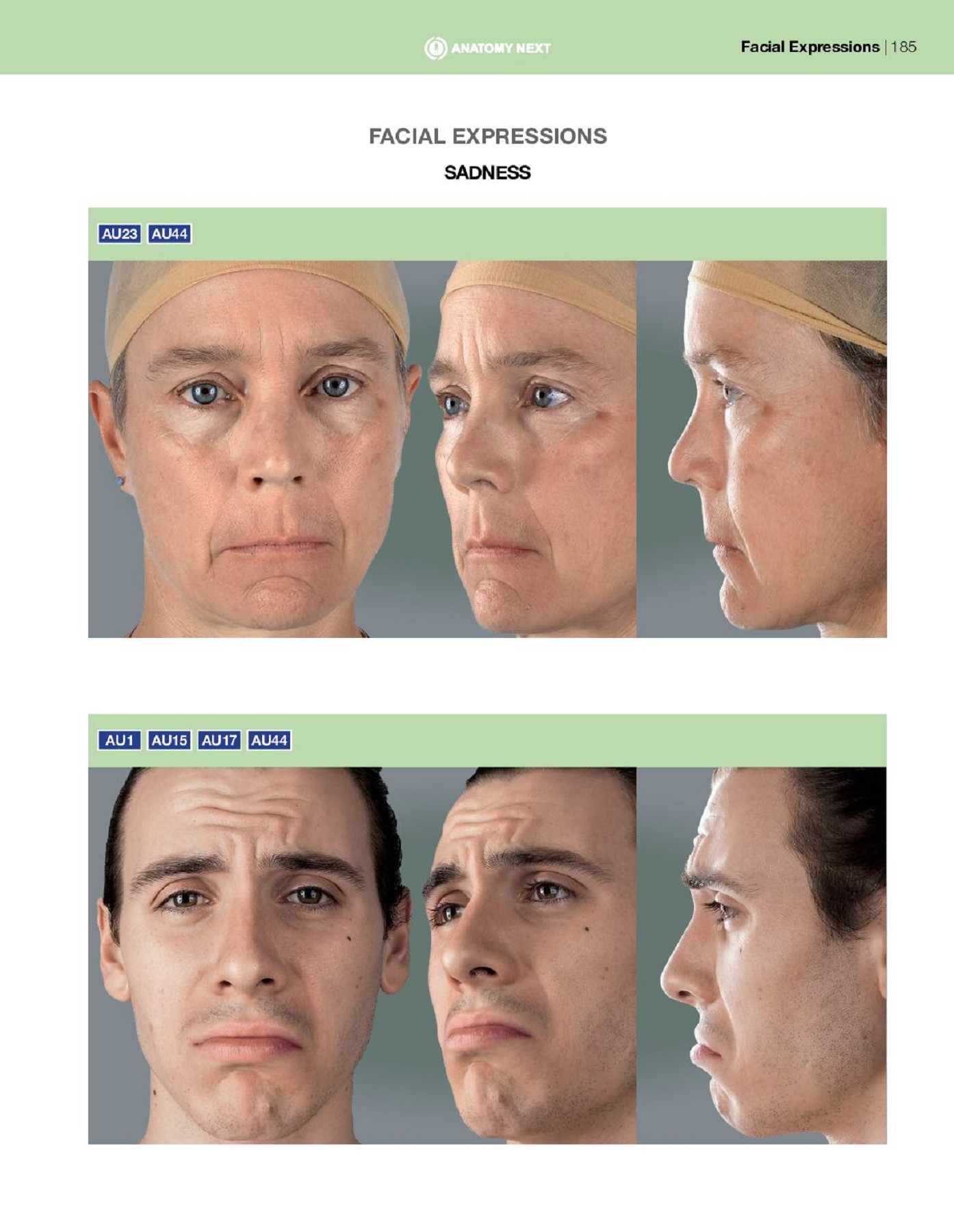 ANATOMY_OF_FACIAL_EXPRESSION.pdf - fettahh.er - Page 187 | Flip PDF ...