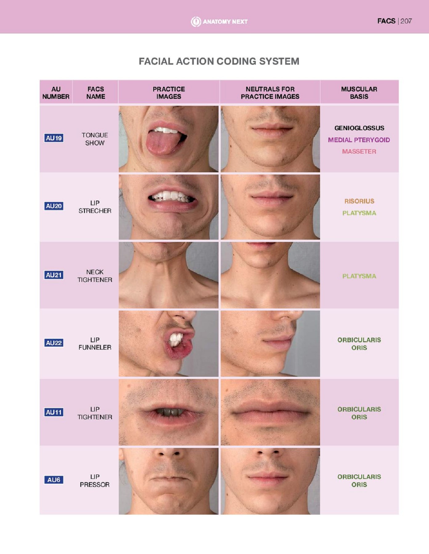 ANATOMY_OF_FACIAL_EXPRESSION.pdf - fettahh.er - Page 209 | Flip PDF ...