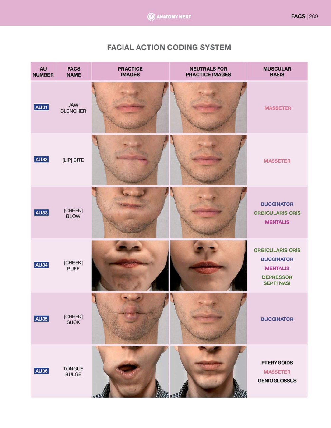 ANATOMY_OF_FACIAL_EXPRESSION.pdf - fettahh.er - Page 211 | Flip PDF ...