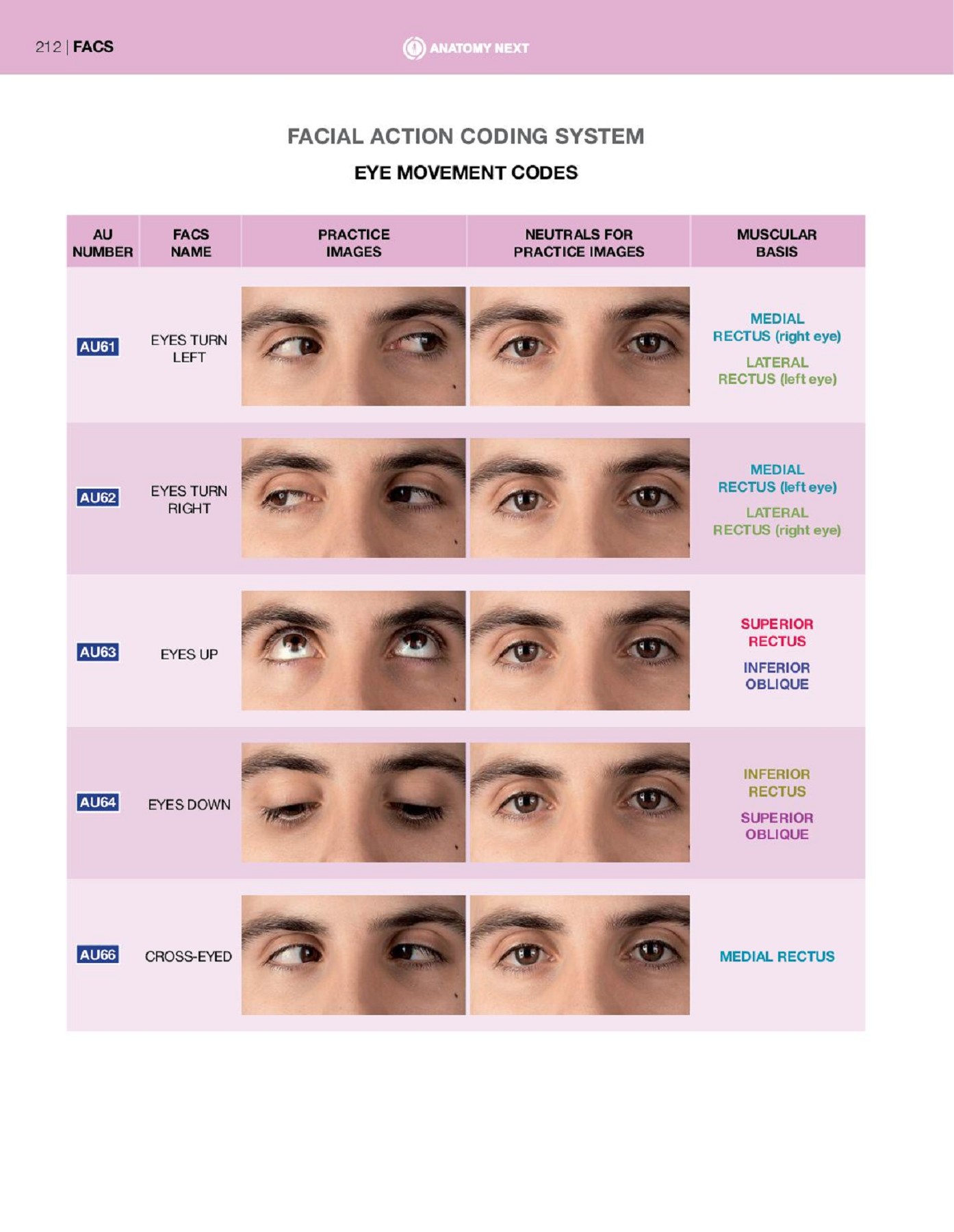 ANATOMY_OF_FACIAL_EXPRESSION.pdf - fettahh.er - Page 214 | Flip PDF ...