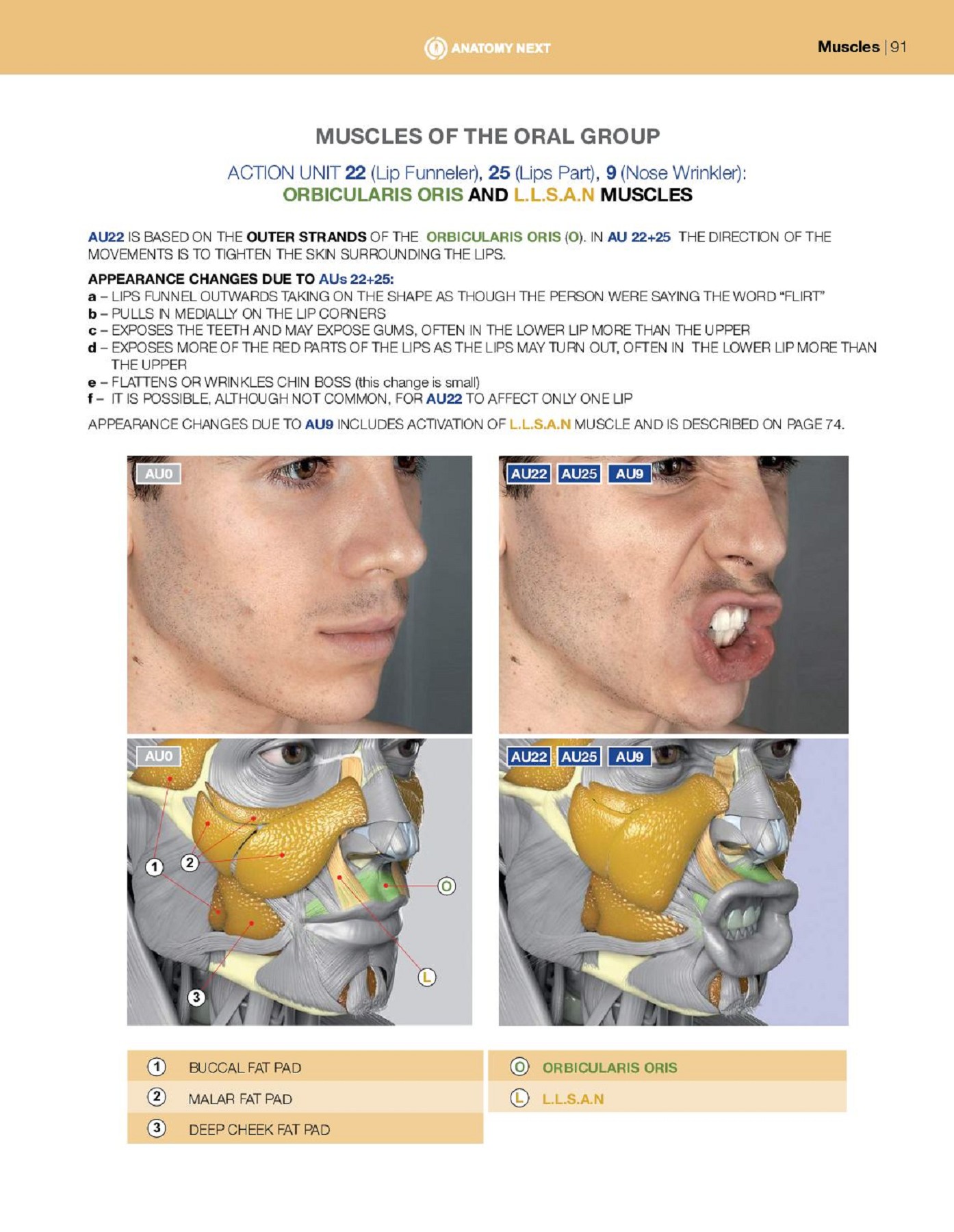 ANATOMY_OF_FACIAL_EXPRESSION.pdf - fettahh.er - Page 93 | Flip PDF ...