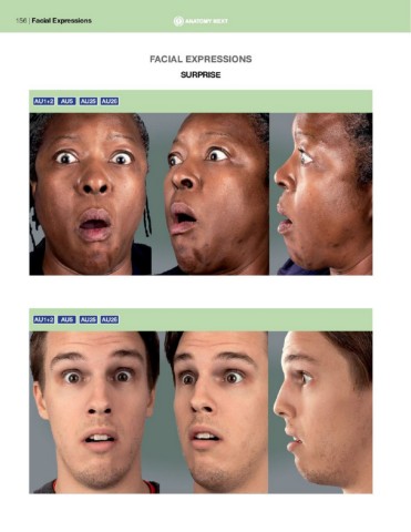 ANATOMY_OF_FACIAL_EXPRESSION.pdf - fettahh.er - Page 158 | Flip PDF ...