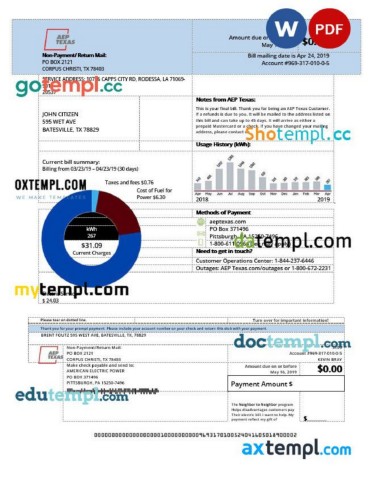 USA AEP Texas electricity utility bill template in Word and PDF format