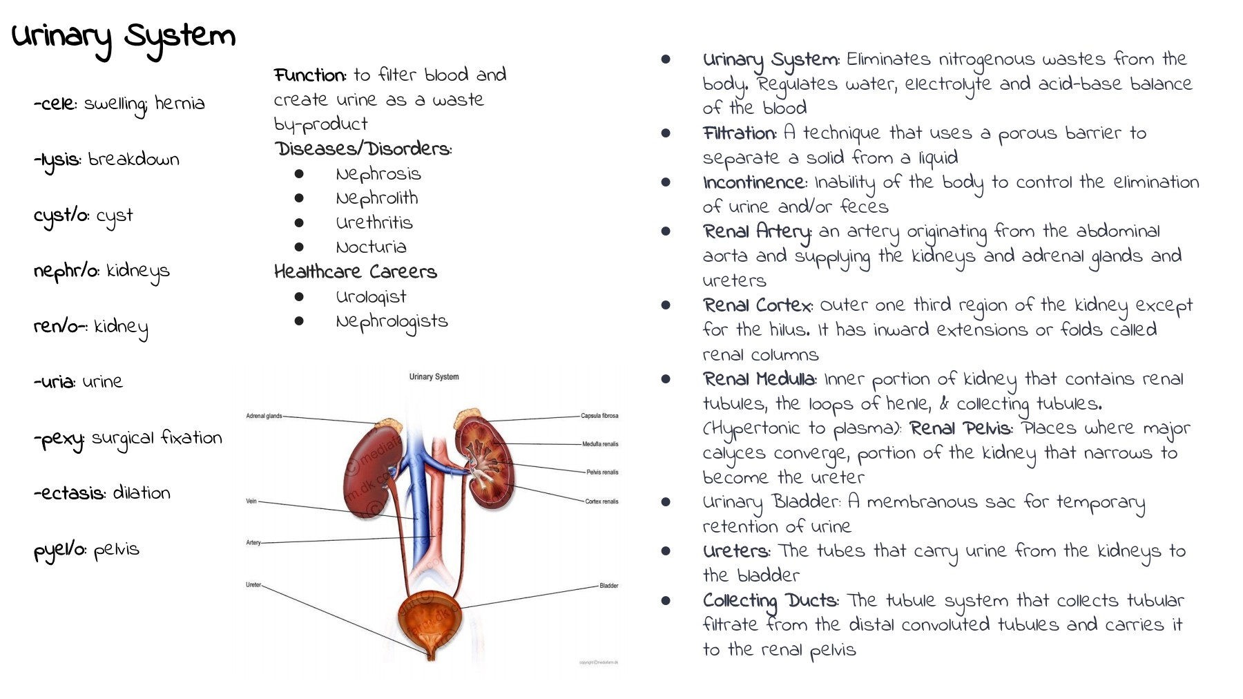 Health Science Notes - Natalie Rummel - Page 10 | Flip PDF Online ...