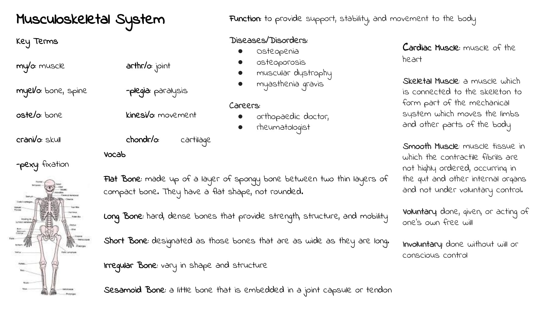 Health Science Notes - Natalie Rummel - Page 4 | Flip PDF Online | PubHTML5
