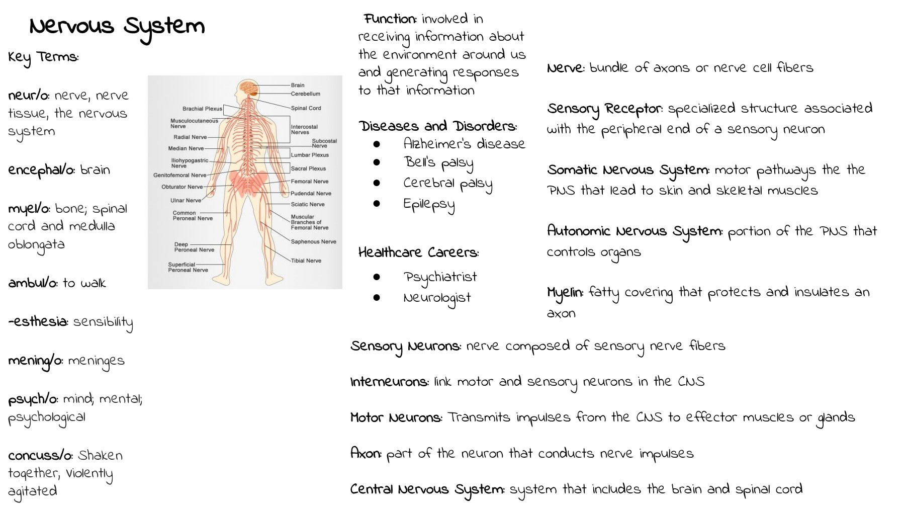 Health Science Notes - Natalie Rummel - Page 5 | Flip PDF Online | PubHTML5