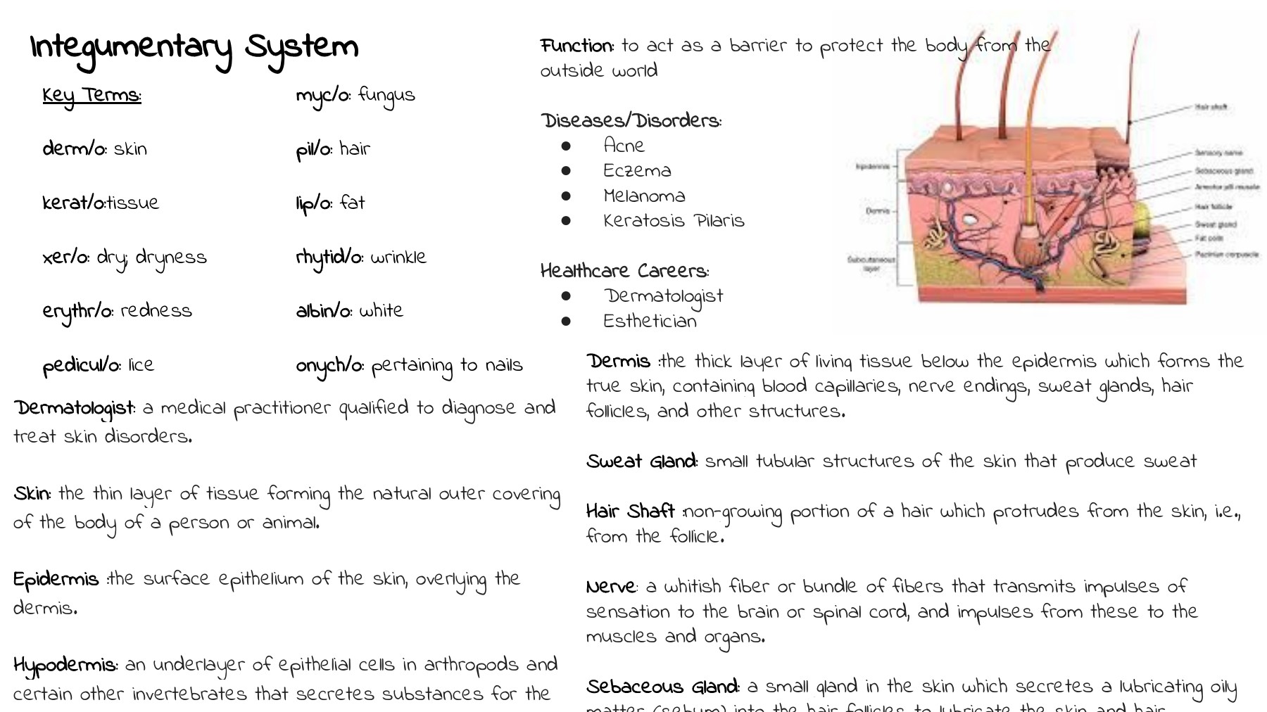 Health Science 1 Body Systems Flipbook Introduction - Natalie Rummel ...