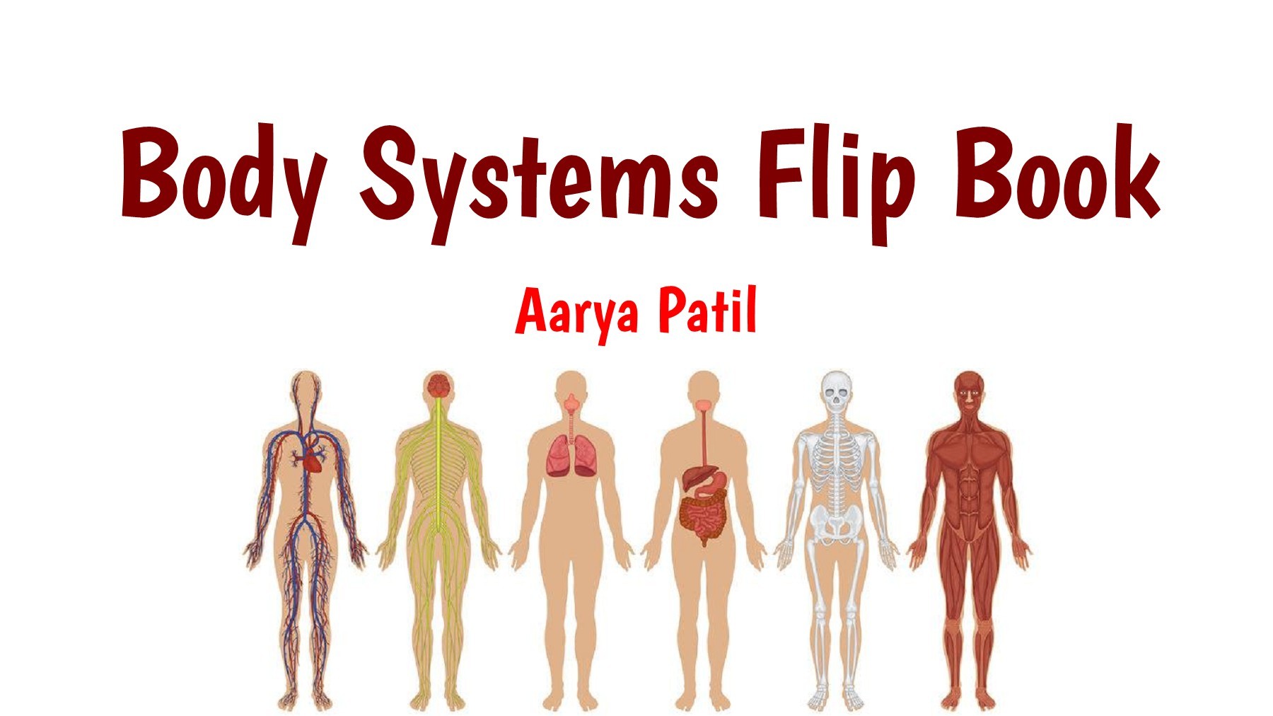 body systems
